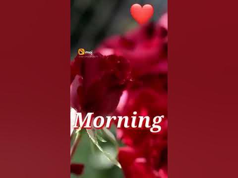 good morning subah ki video Hindi - YouTube