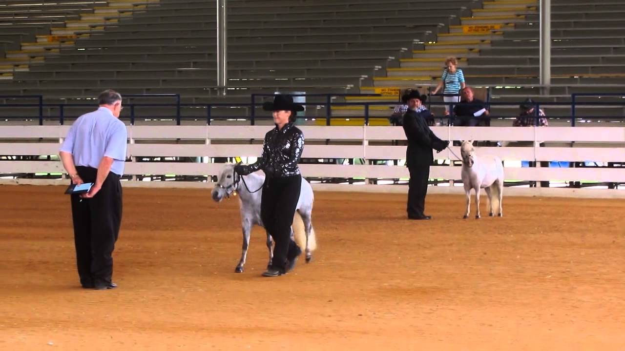 Kevin First Place Anna Second Place - YouTube