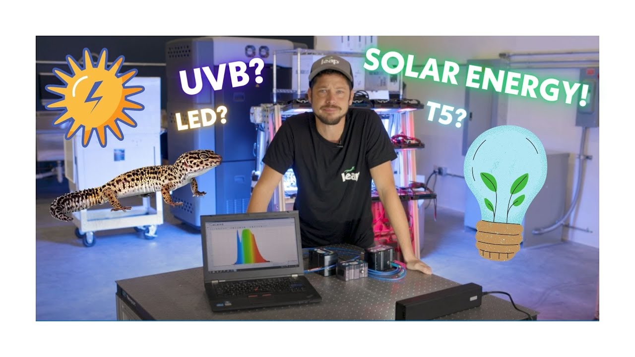 Buying the BEST Reptile Lights! The Solar Spectrum, and what YOU need ...