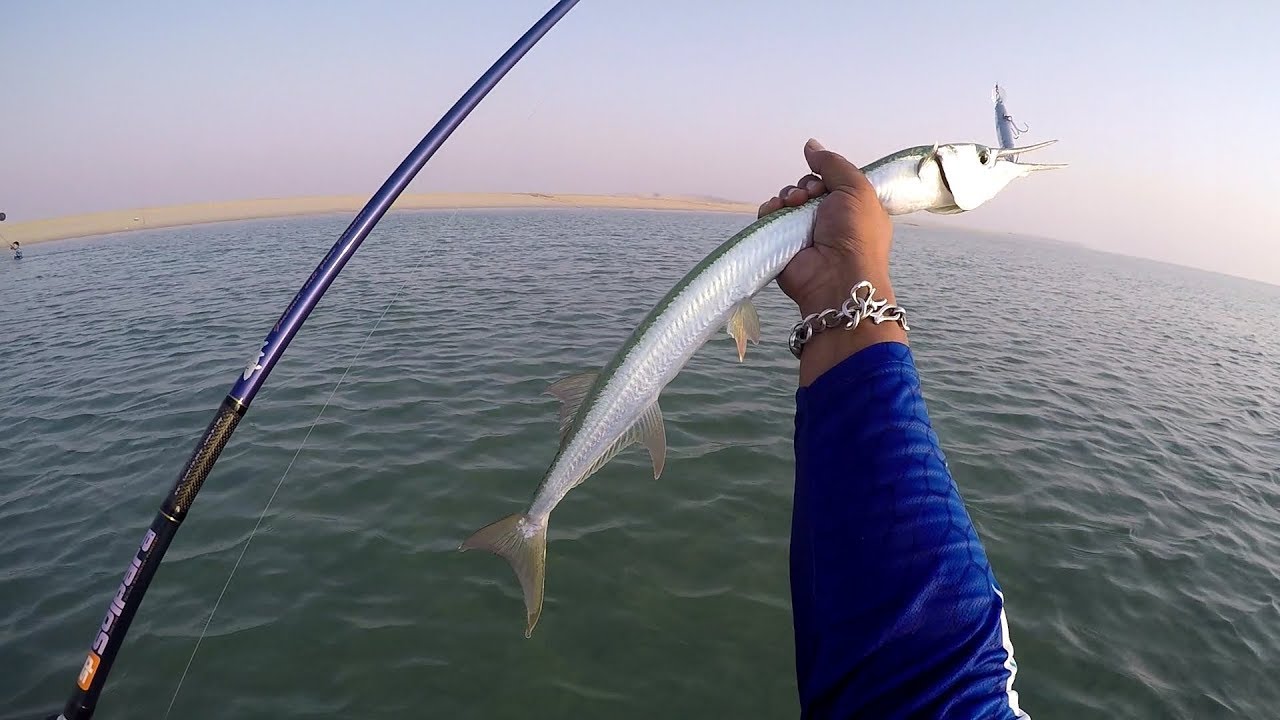 Fishing in Edge of Deep sea QueenFish & Niddle Fish || By Himalayan ...