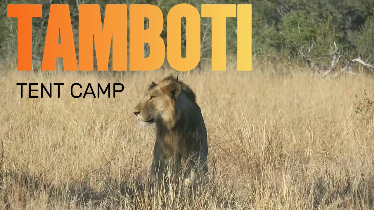 Tamboti Tent Camp - YouTube