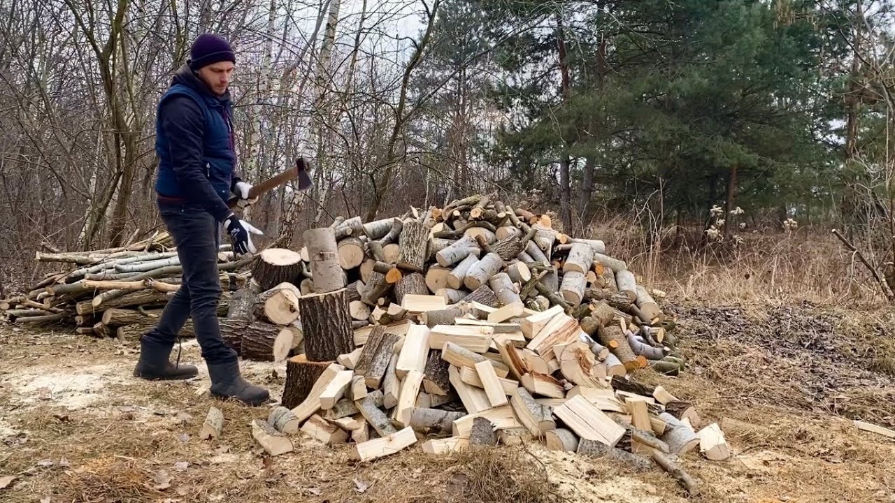 Mesmerizing firewood chopping in a picturesque forest - YouTube