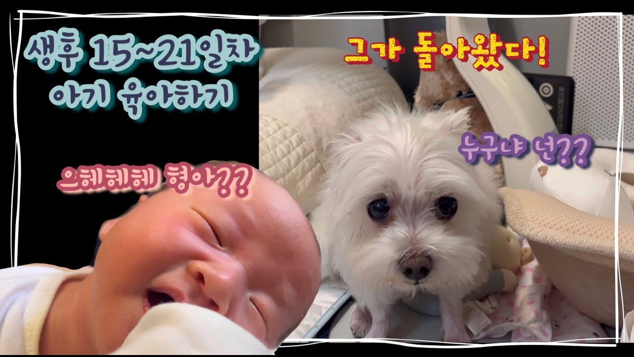 리얼육아 애개육아하기ㅣ 얌전한 아기 육아하기 ㅣ Bcg주사 맞았어요 ㅣ 첫예방접종~하러간날 ㅣ 그놈이 돌아왔다 ㅣ 반지하육아