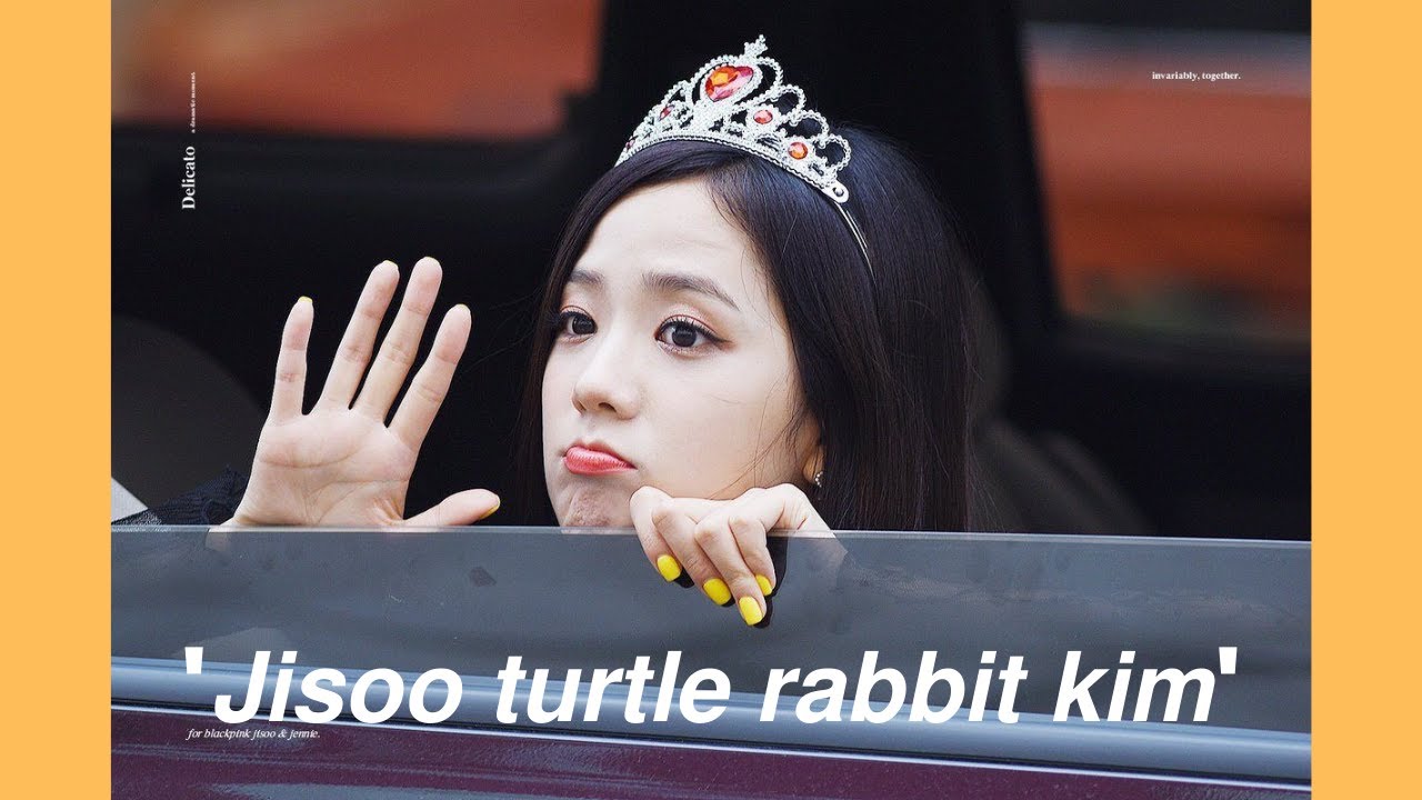 jisoo turtle rabbit kim singing for 14 minutes in every blackpink song ...