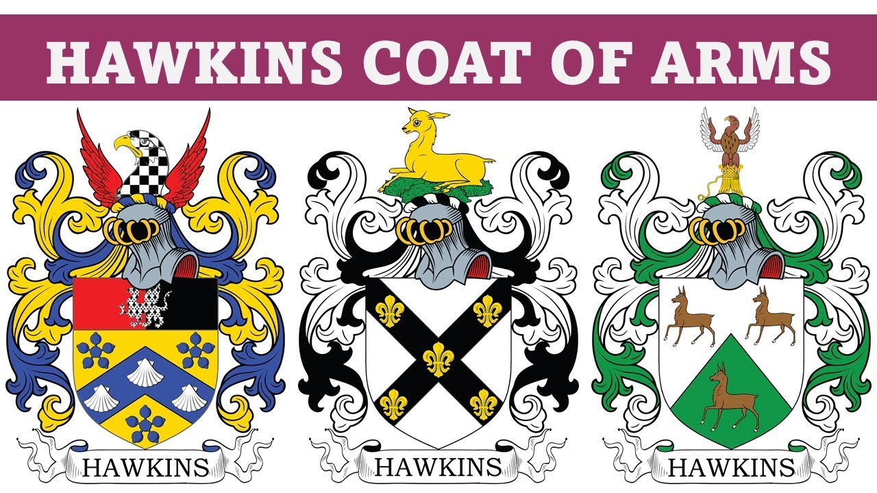 Hawkins Coat of Arms & Family Crest - Symbols, Bearers, History - YouTube