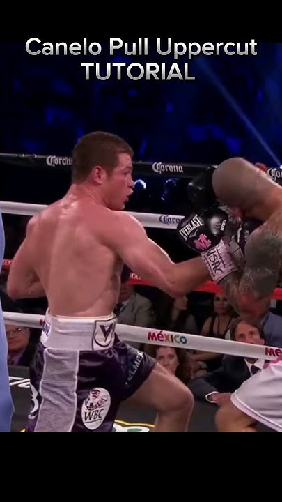 Canelo Pull Uppercut Tutorial #boxingstyle #boxing #canelo #counterpunch #martialarts #mma # ...