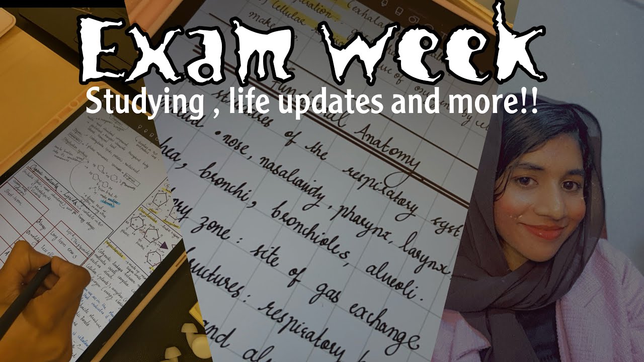 15 Hours study vlog | International Student In Canada | study challenge ...