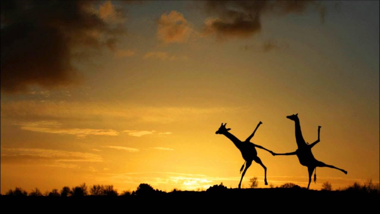 Chapeau Claque & Pretty Pink - Schöner Moment - YouTube