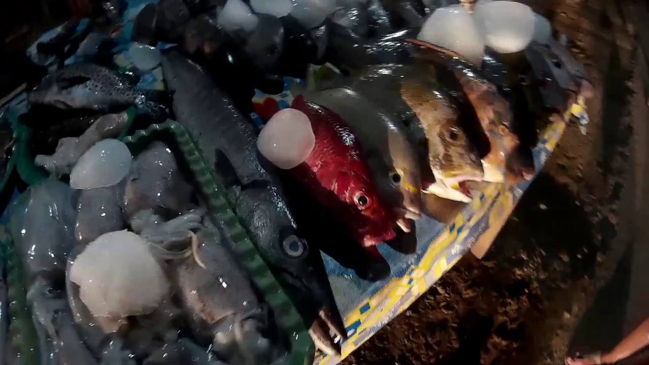 Kuta Lombok Fish Restaurant - YouTube