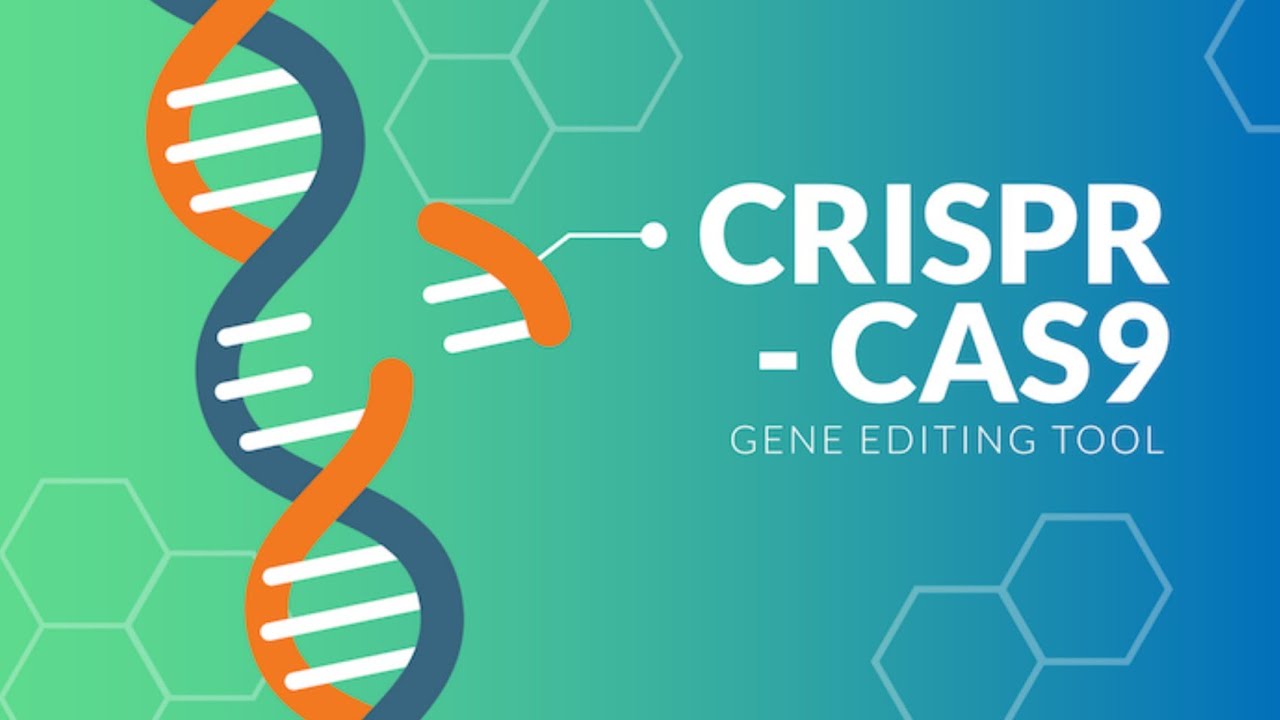CRISPR cas-9 in 2 minutes or less - YouTube