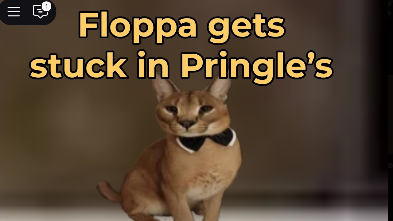 Floppa gets stuck in pringles - YouTube