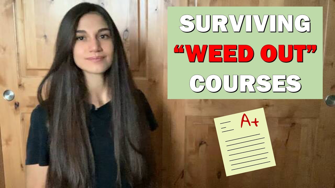 How To Pass Weed-Out Courses | Top Tips and Suggestions - YouTube