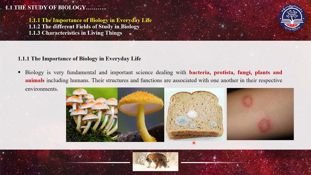 Grade 10 Bio, Chapter 1 (Part 1A) - YouTube