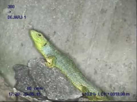 SİBORT R 180 - YouTube