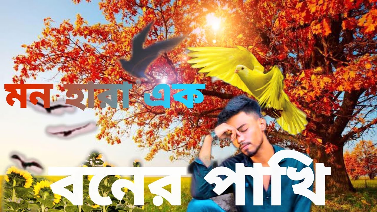 মন হারা এক বনের পাখি Babu Ahamed 2023" - YouTube