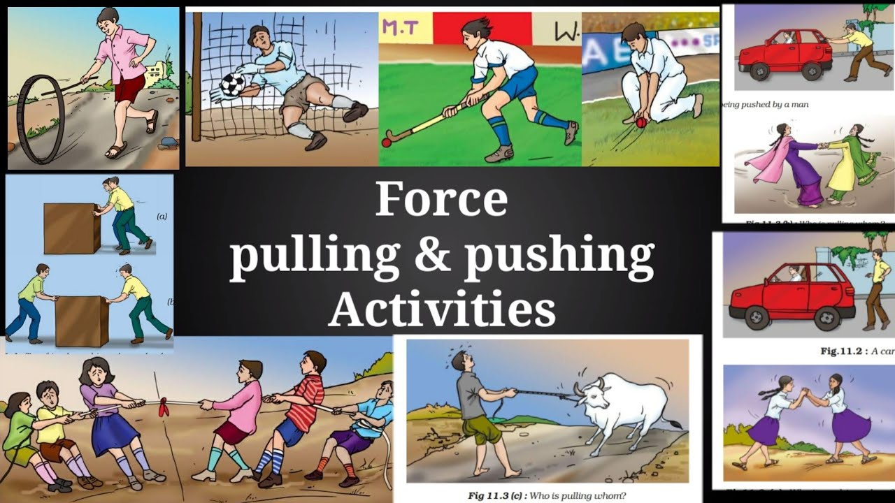 8th class Physics NCERT - Activities | force and pressure Activities ...
