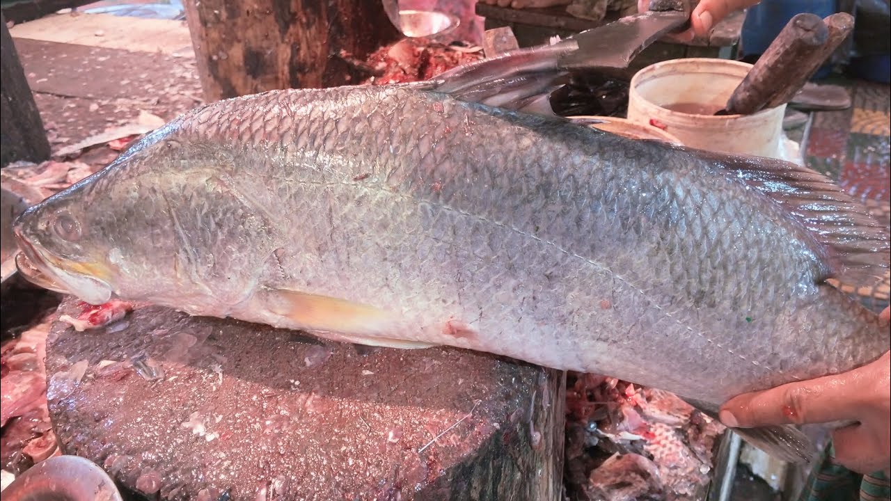 Fish Cutting Skills in Fish Market | Fish fillets #pomfretfish # ...