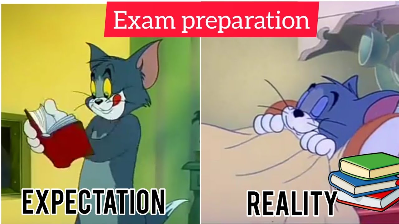 Exam Preparation Expectation vs Reality memes - YouTube