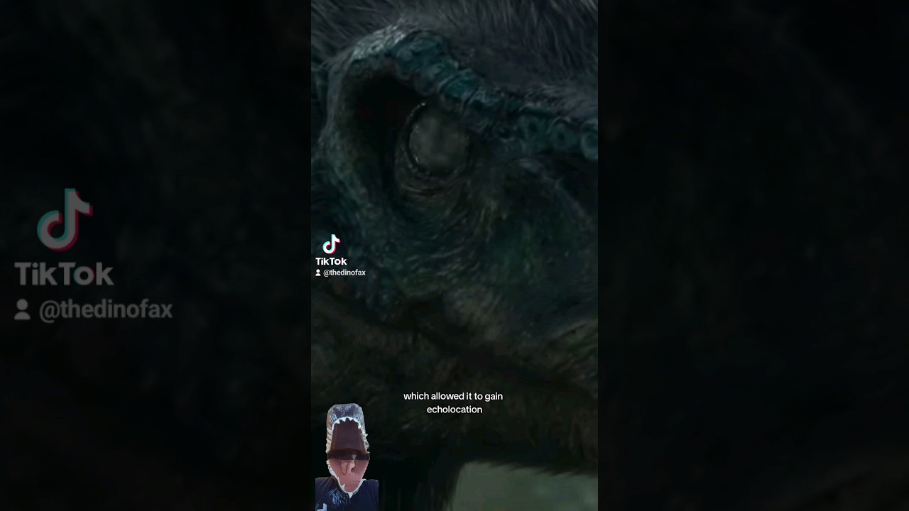 A Blind Dinosaur - YouTube