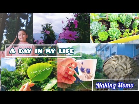 #09.A Day In My Life||How Do I Spent My Normal Day||Normal College Life ...
