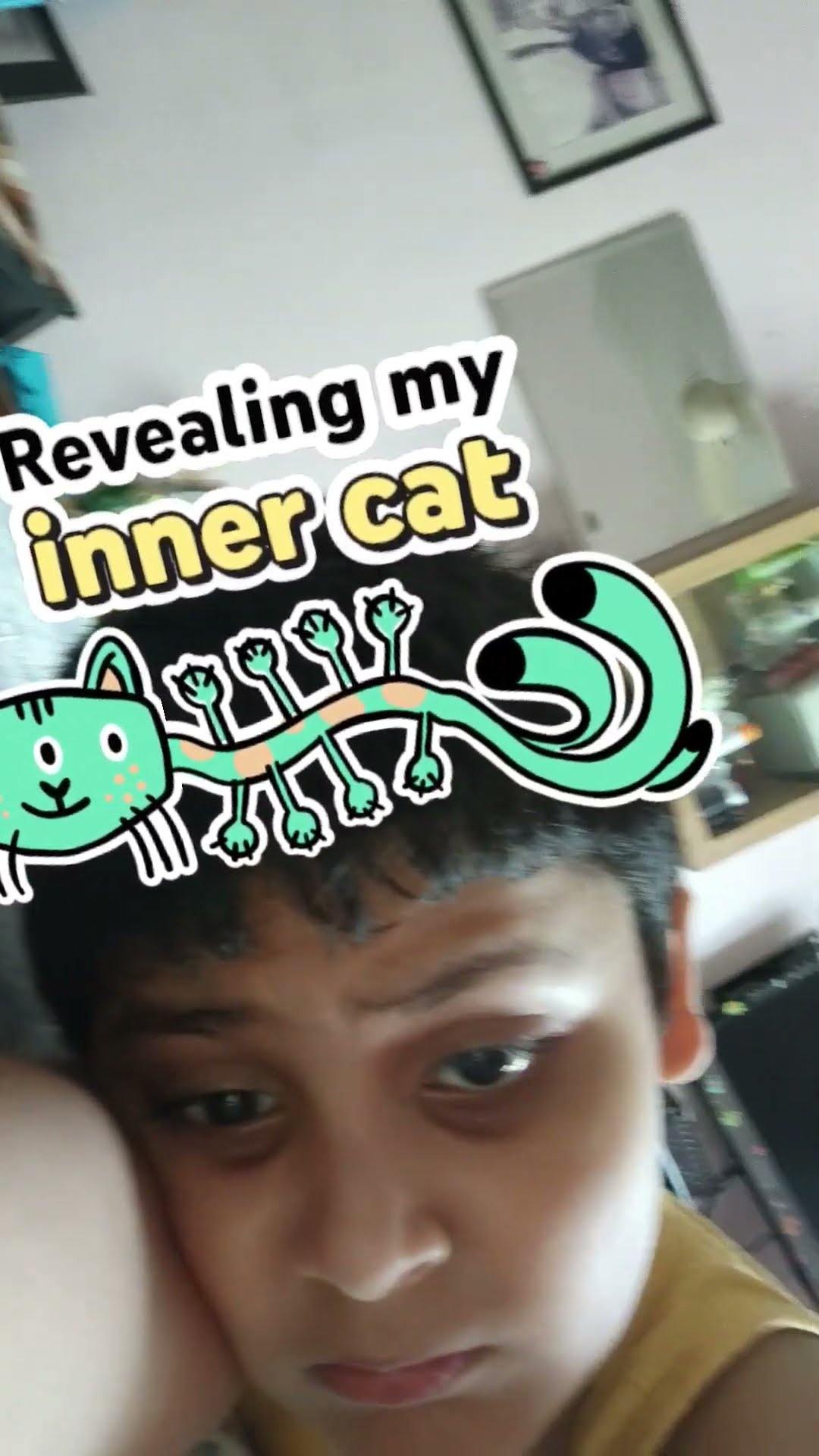 my inner cat - YouTube