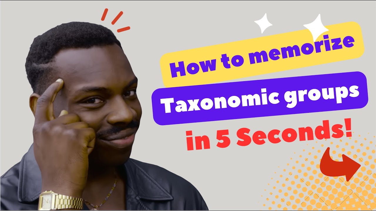 How To Memorize Taxonomic Groups (Mnemonics) - YouTube