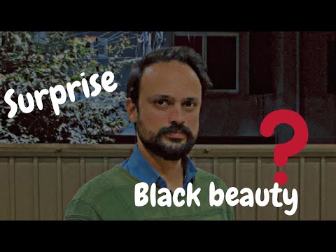once again black beauty is here Alhumdulillah - YouTube