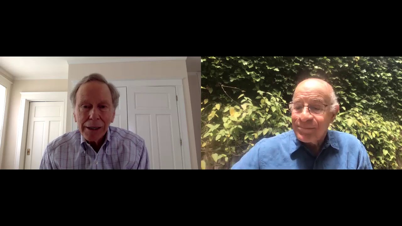 Roger Goldman; police licensing and decertification; July 2, 2020 - YouTube