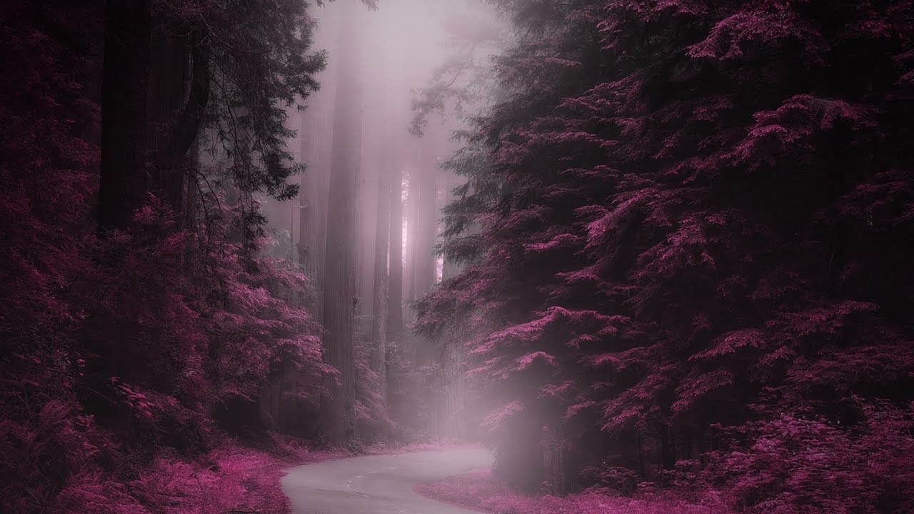 Best Nature WhatsApp Status 30 seconds|Nature Beauty Song Status|Nature ...