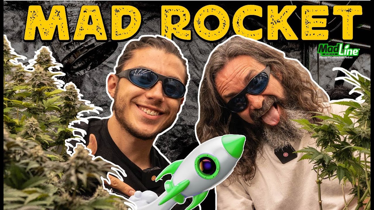 7 años de ALTA PRODUCCION gracias a la MACETA Mad Rocket - YouTube