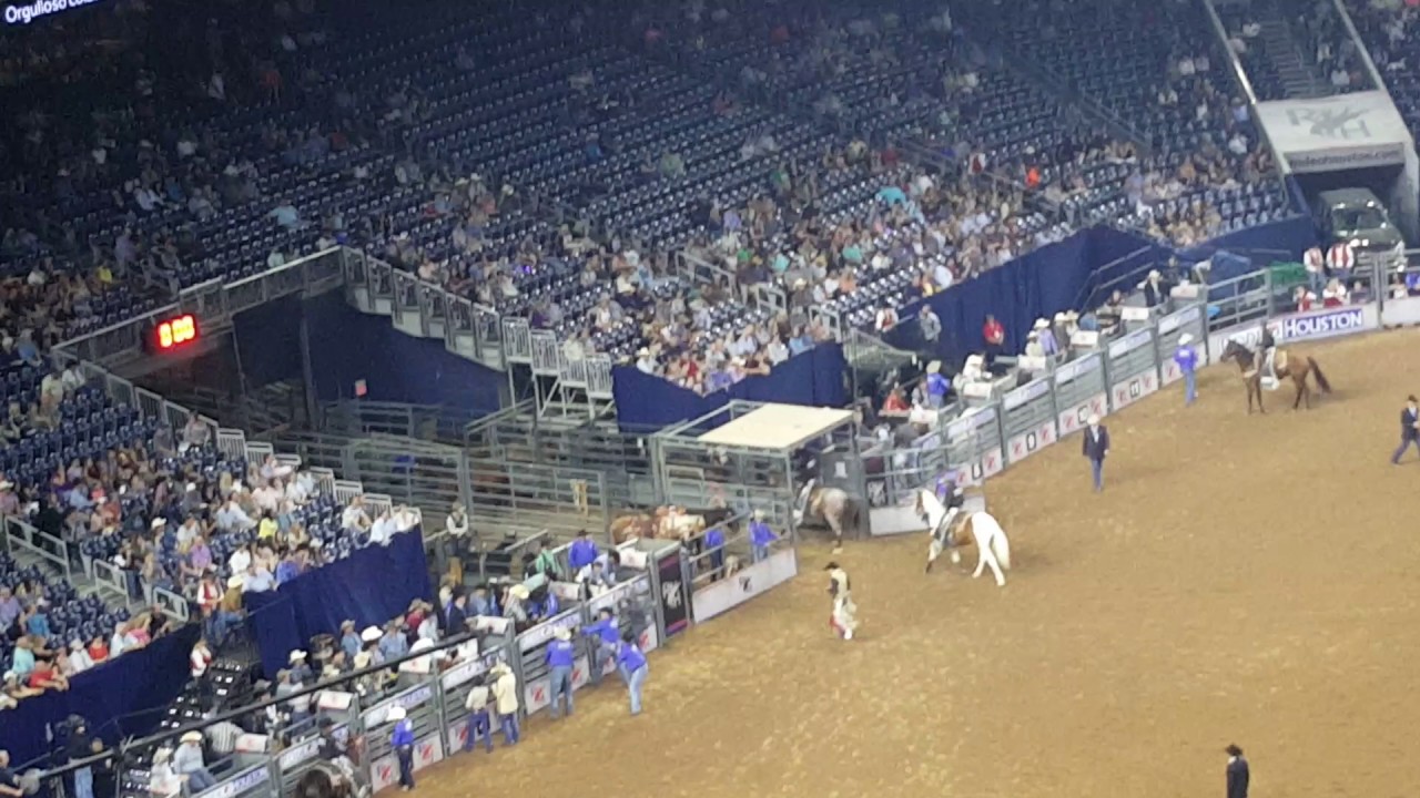 HOUSTON - Rodeo, Horse riding (marzo 2017) - YouTube