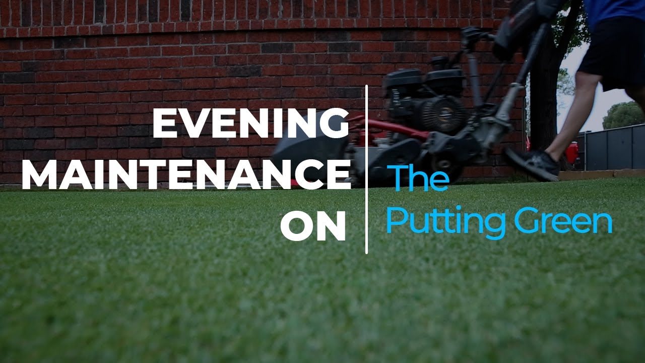 Evening Putting Green Maintenance - YouTube