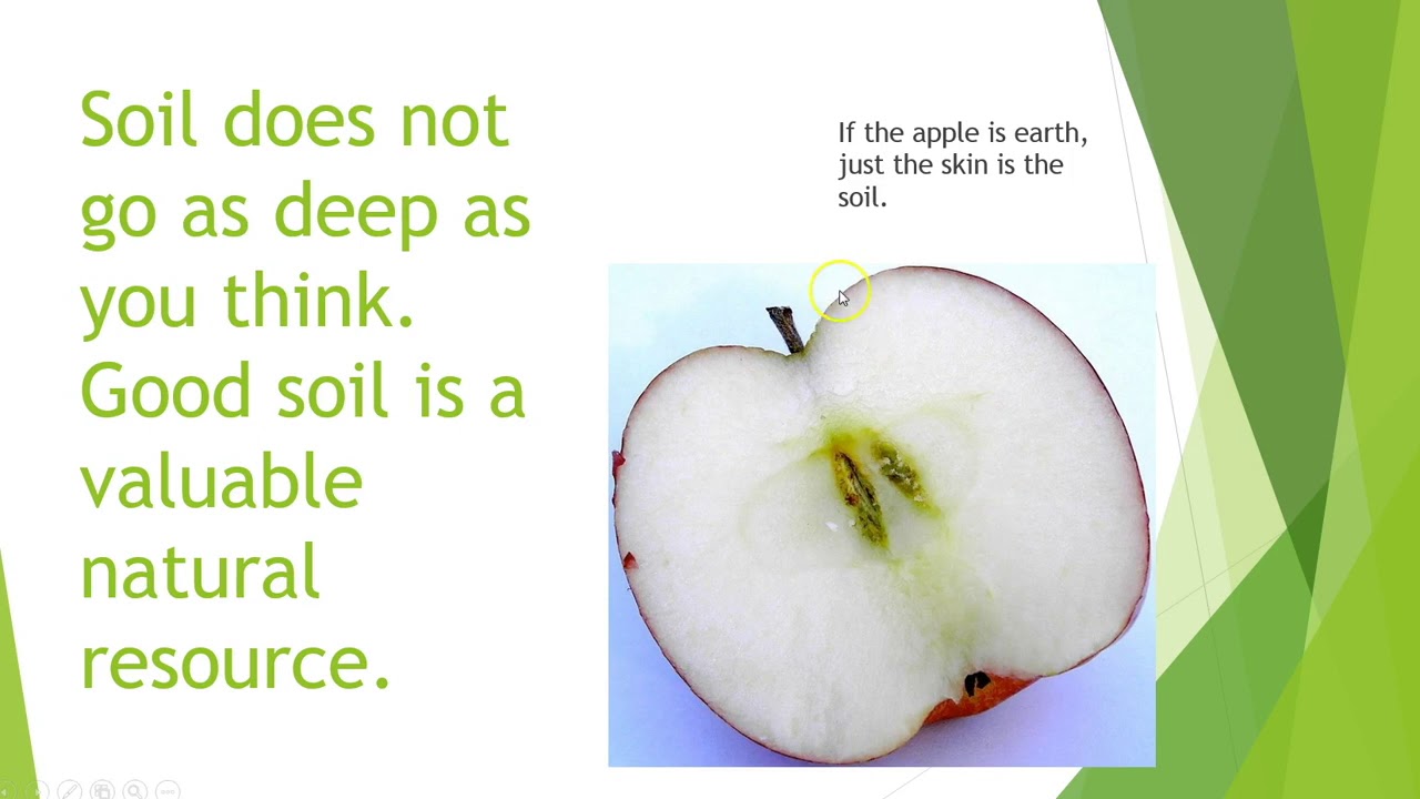 Georgia Standards of Excellence - 3rd Grade Earth Science Standards ...