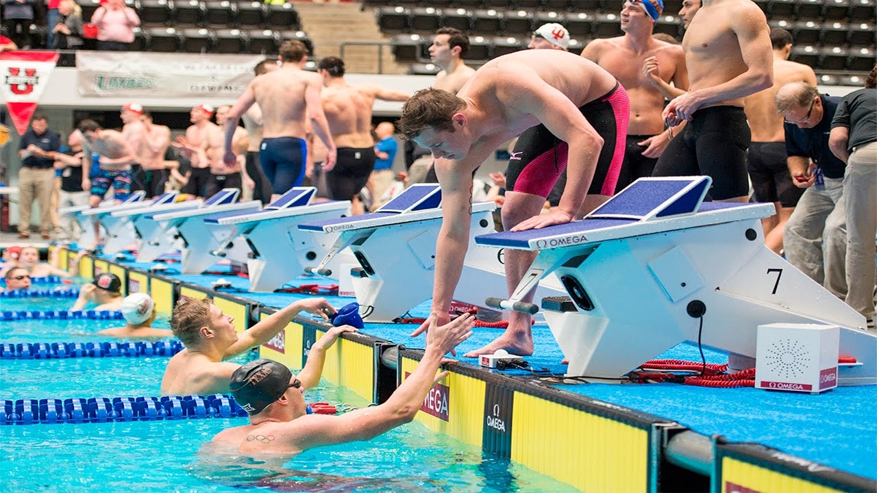 Texas Men's Swimming & Diving NCAA Championship Day 2 [March 23, 2017 ...