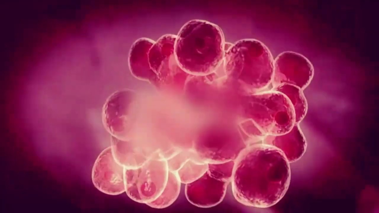 The Walking Evil Part 3 Final Gameplay No Commentary - YouTube