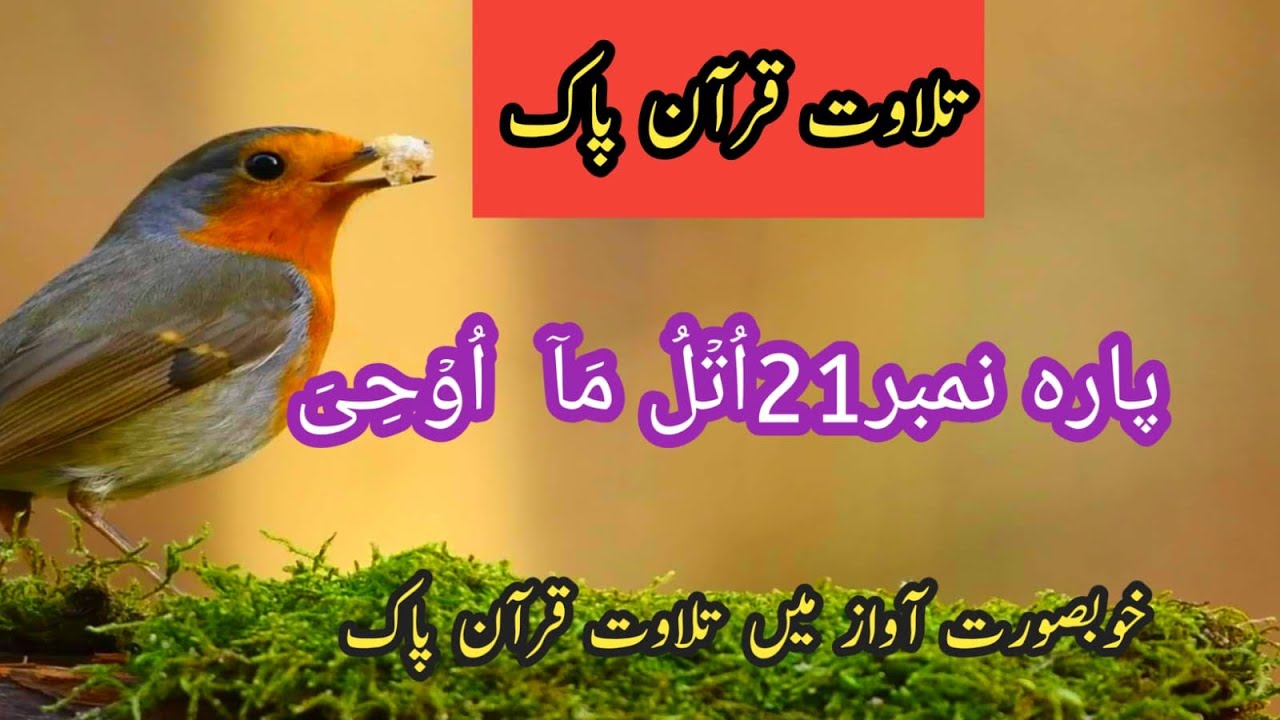Quran par 21 Complete (para 21 full text)} quran para 21 fast ...