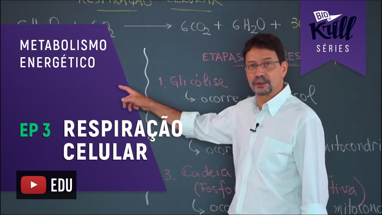 BioKrill Series - Respiração Celular (Metabolismo Energético - EP 3 ...