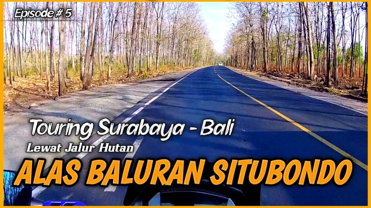 Touring SURABAYA - BALI [ Episode 5 ] Melewati Hutan Alas Baluran ...