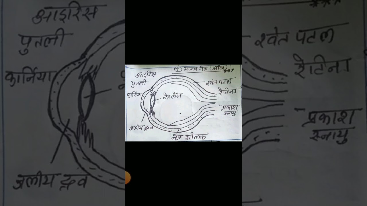 Manav Netra ka diagram - YouTube
