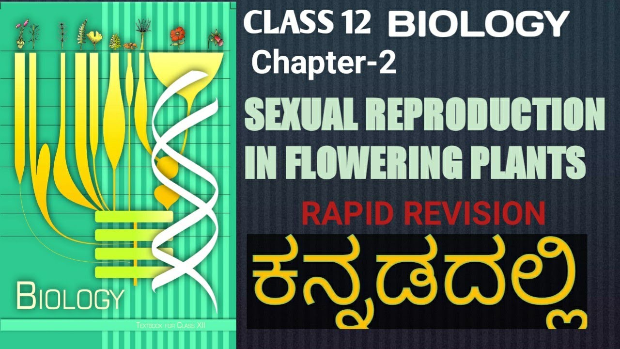 Class 12, Biology Chapter 2,Sexual reproduction in flowering Plants ...