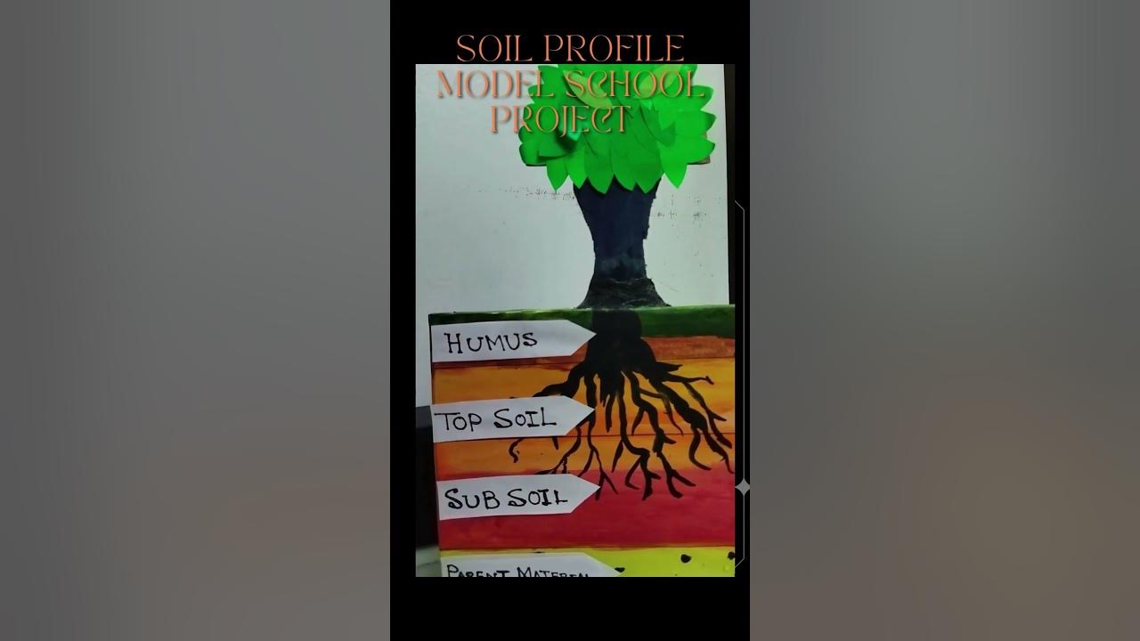 Soil profile model school project #soilprojectmodel #shorts - YouTube