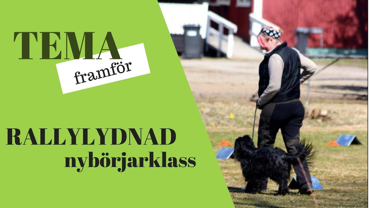Rallylydnadsskyltar Nybörjarklass Framför - YouTube