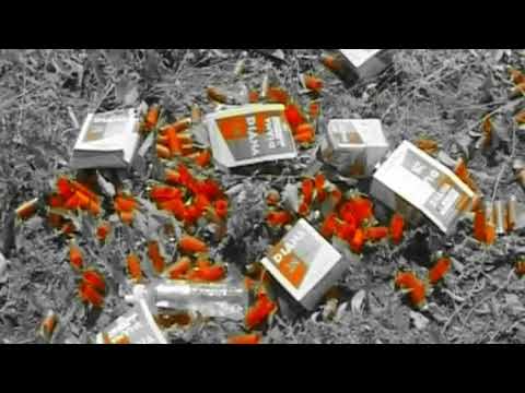 ΚΥΝΗΓΙ ΤΡΥΓΟΝΙΟΥ ΣΤΗΝ Ν ΑΦΡΙΚΗ - YouTube