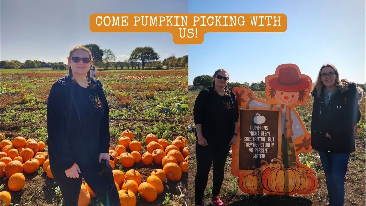 Foxes Farm Produce Pumpkin Patch With Kayley Vlog | Essex Pumpkin ...