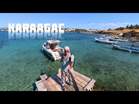 Karaağaç | Hayatın İçinden 