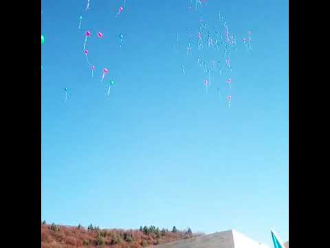 Şəki _ Bayraq günü . 09.11.2019