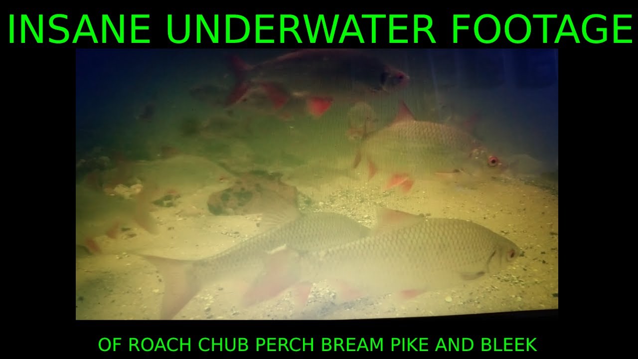 I threw My Gopro in the river idle Retford and got Incredible Footage # ...