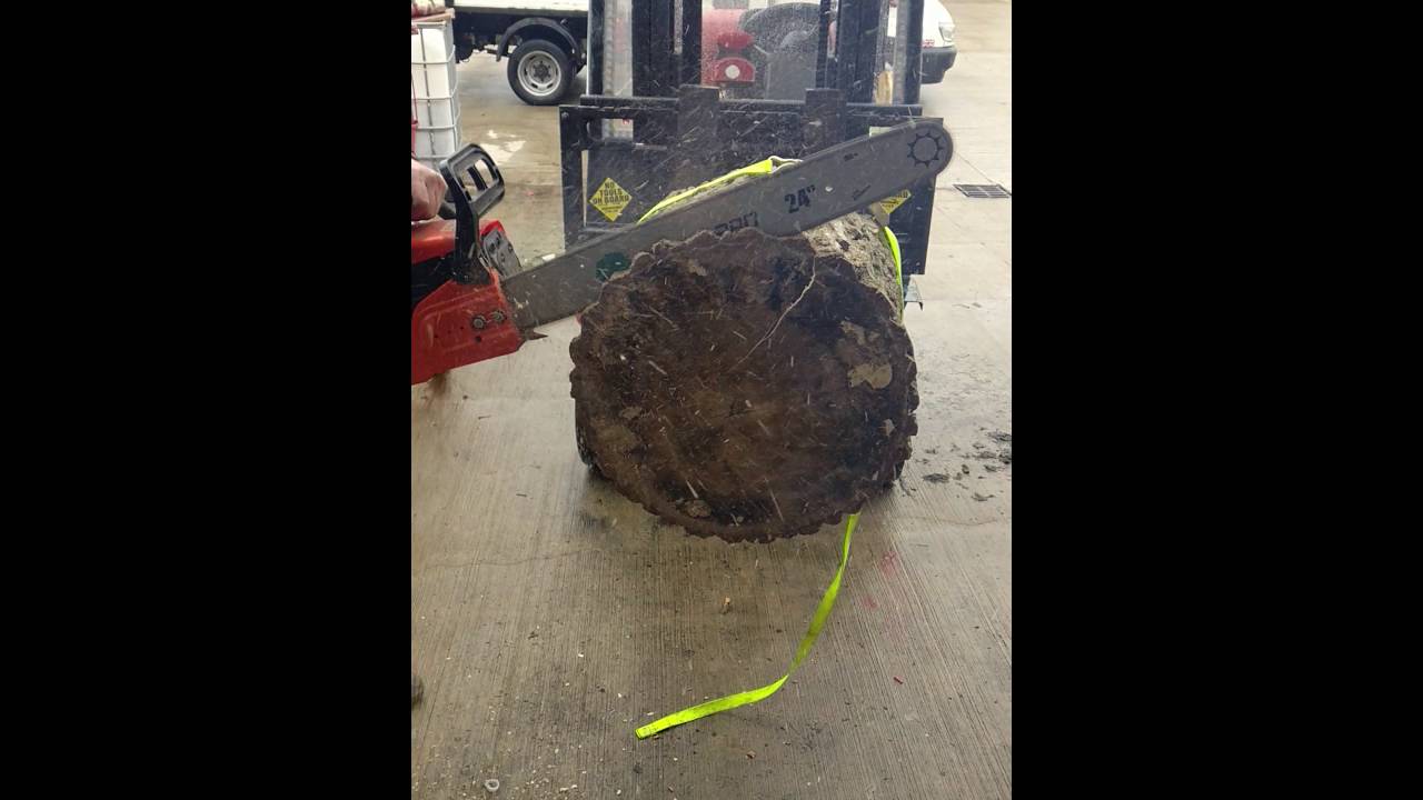 TIMBERPRO 62cc 24" chainsaw cutting demo - YouTube