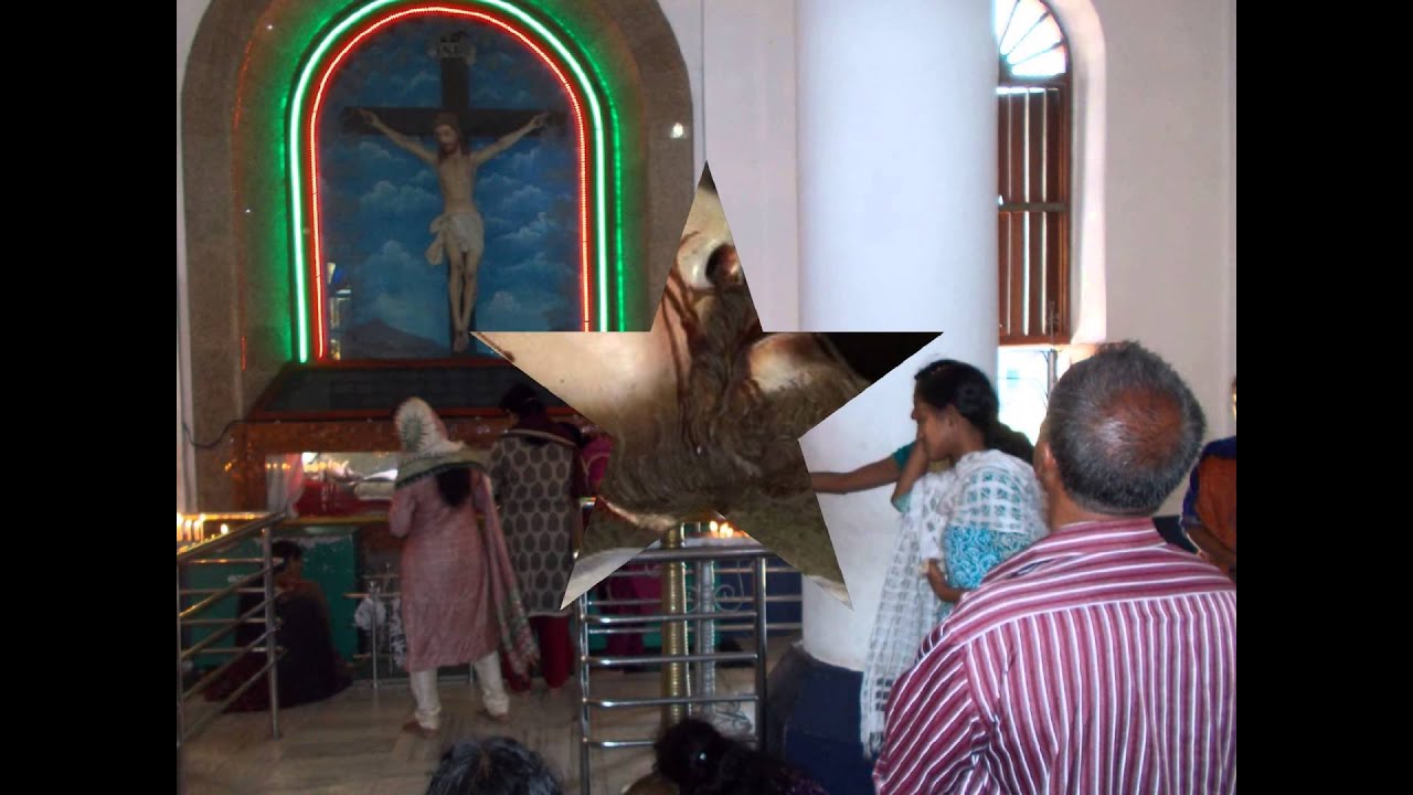 THANKI PALLI - YouTube