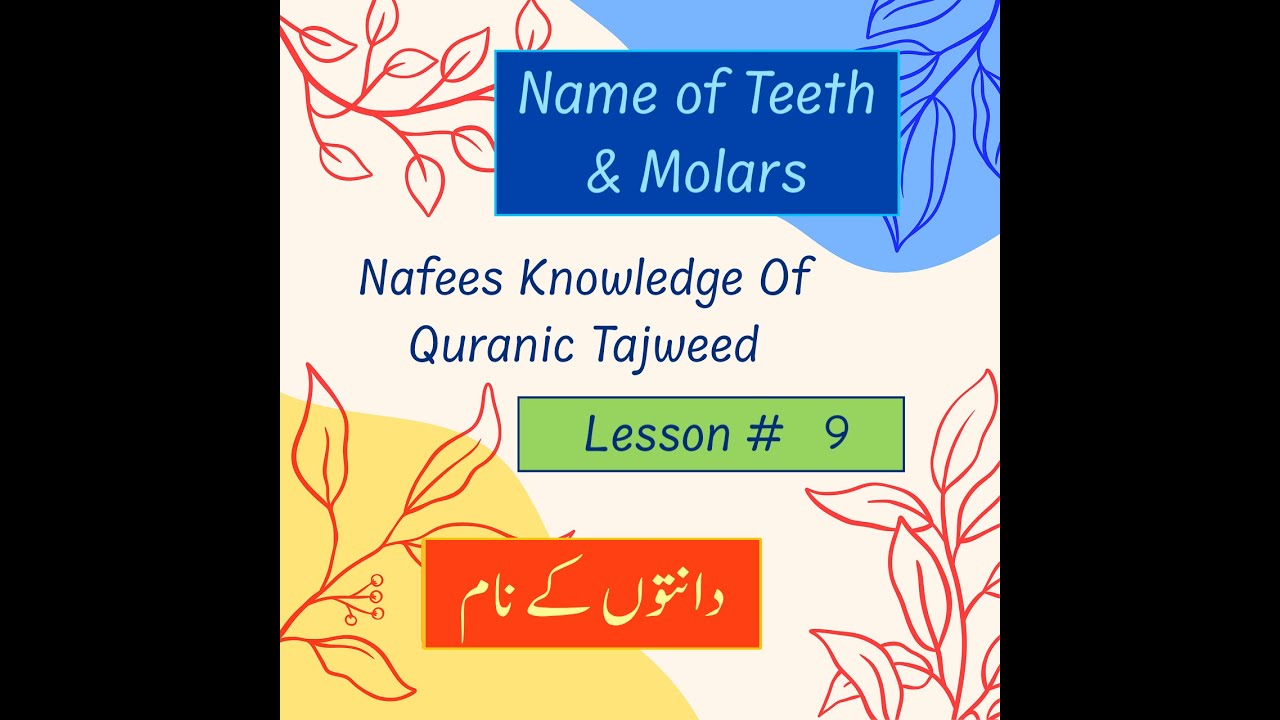 Nafees Knowledge Of Quranic Tajweed| Lesson # 9 | Name of Molars and ...